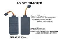 China ACC SMS 2D RMS 4G GPS Tracker 200mAh Protocol 4g Vehicle Tracker for sale