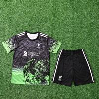 China 2025-2026 Liverpool FC Children Special Edition Jersey Customizable Sizes 6-14 for sale