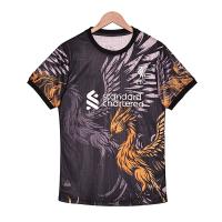 China Liverpool FC 2025-2026 Player Edition Special Edition Jersey Customizable for sale