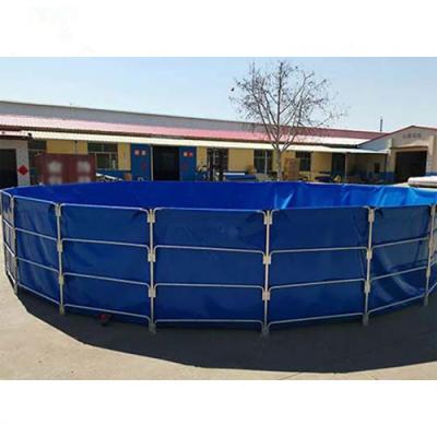 China collapsible  indoor and outdoor RAS fish tank for sale
