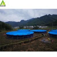 China Hot Sale Intensive Recirculating Aquaculture Systems Tilapia Fish Farming RAS for sale