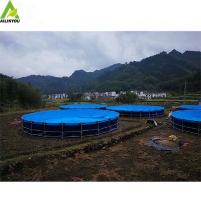 China Hot Sale Intensive Recirculating Aquaculture Systems Tilapia Fish Farming RAS for sale
