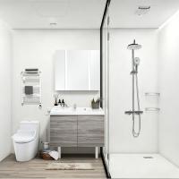 China SMC Integrated Shower Enclosures: Durable Wet/Dry Separation for sale