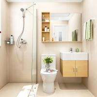 China SMC Integrated Shower Enclosures: Durable Wet/Dry Separation for sale