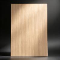China Anti Mildew SMC Shower Wall Panels White / Colored Laminated Wall Panels for sale