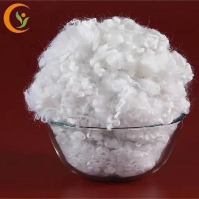 China Virgin 3D*32mm Hollow Conjugated Siliconized Polyester Staple Fiber for Clothing - Anti-Static & Abrasion-Resistant for sale