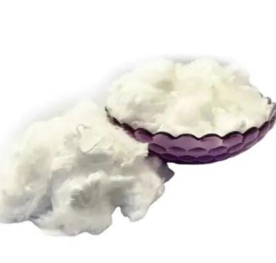 China High Tenacity Polyester Staple Fiber 1.2-15dtex with Low Moisture for Textile Manufacturing for sale