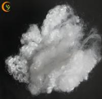 China Recycled Polyester Fiber 3000kg Minimum Order with High Strength and Good Chemical Resistance for Industrial Applications for sale