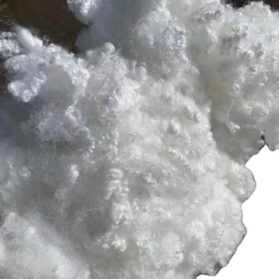 China Hollow Conjugated Siliconized Polyester Fiber 50mm Length 2.0mm Diameter High Tensile Strength for Textile and Filtration for sale