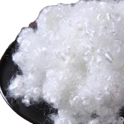 China Custom Virgin Polyester Fiber 2-3cm Width with High Abrasion and UV Resistance for Industrial Applications for sale