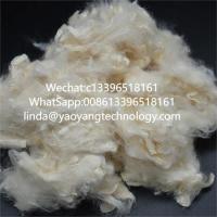 China Yaoyang Soybean Protein Fiber Textile - 3000kg Minimum Order, High Protein Organic Fabric for Sustainable Apparel for sale