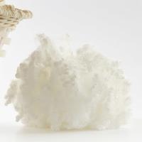 China Recycled Polyester Staple Fiber - Short Length 3000kg Minimum Order with High Elasticity for Sustainable Textile Manufacturing for sale