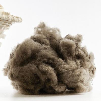China Short Fine Diameter Recycled Polyester Fiber with High Elasticity and Good Flame Resistance for sale