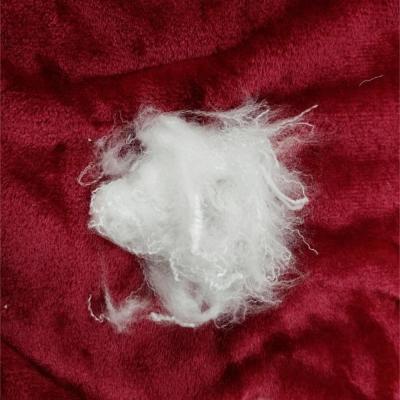 China High Quality Recycled 1.2d*32mm Micro Fiber Polyester Staple Fiber For Filling for sale
