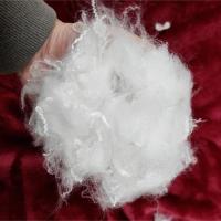 China High Quality Recycled 1.2d*32mm Micro Fiber Polyester Staple Fiber For Filling for sale