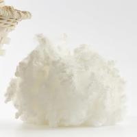 China Short Fiber Resilience Eco Friendly Polyester Fiber Fine Diameter Recycled Polyester Fiber for sale