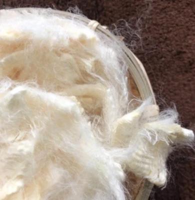 China Yaoyang Soybean Protein Fiber - High Protein Low Calorie Textile Material | 3000kg MOQ | $0.68-$0.95/kg for sale
