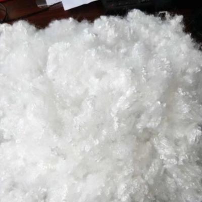 China 1.2-15 Dtex Polyester Staple Fiber In White Black Grey And Colorful for sale
