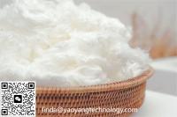 China Yaoyang Viscose Staple Fiber 1.5-3.0mm Length with High Flame Retardancy and Low Density for Industrial Textiles for sale