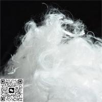 China Virgin Polyester Fiber 2-3 cm Width with High Abrasion and Chemical Resistance for Textile Manufacturing for sale