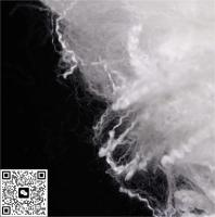 China Virgin Polyester Fiber 2-3 cm Width with High Abrasion and Chemical Resistance for Textile Manufacturing for sale