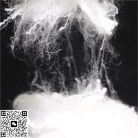 China Virgin Polyester Fiber 2-3 cm Width with High Abrasion and Chemical Resistance for Textile Manufacturing for sale