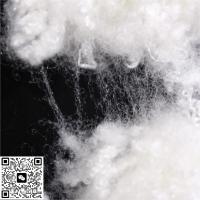China Industrial Virgin Polyester Fiber 1-2cm Length with High Chemical & UV Resistance - Yaoyang Brand for sale