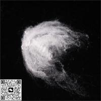 China Anti-Fungal and Anti-Bacterial Poly Microfiber - Premium Quality for sale
