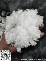 China 100% Polyester Staple Fiber with 1.2-15dtex Fineness and High/Medium/Low Crimp in AA/A/AB/B Grades for sale