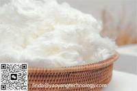 China Environmentally Friendly Soft Viscose Staple Fiber White for sale