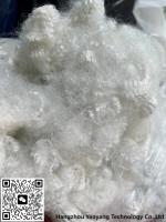 China Textiles Poly Staple Fabric high tensile Polypropylene Staple Fiber for sale