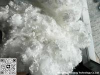China Recycled Polyester Fiber 3000kg Minimum Order with High Strength and Good Chemical Resistance for Industrial Applications for sale