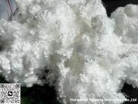 China Recycled Polyester Fiber 3000kg Minimum Order with High Strength and Good Chemical Resistance for Industrial Applications for sale