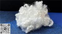 China Recycled Polyester Fiber 3000kg Minimum Order with High Strength and Good Chemical Resistance for Industrial Applications for sale