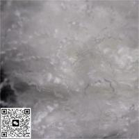 China White Polyester Staple Fiber with 1.2-15dtex Fineness and High Crimp for Textile Applications for sale