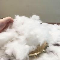 China Various Colors Micro Fiber Polyester with High Shrinkage Resistance for sale