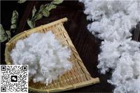 China UV Protected Virgin Polyester Fiber For Demanding Applications for sale