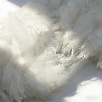 China Moisture Wicking Micro Fiber Polyester with Anti-Bacterial Properties for sale