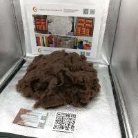 China 100% Material Virgin Grade Colorful Polyester Staple Fiber For Optimal Performance for sale