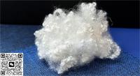 China Eco Friendly Recycled Polyester Staple Fiber With Fine Diameter / Abrasion Resistance for sale