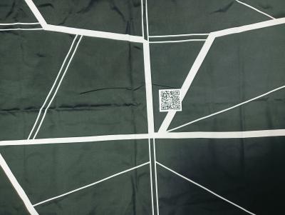 China Nylon Polyester Fabric Water Repellent Tough Nylon Polyester Fabric for clothing for sale