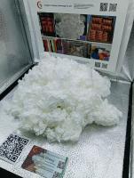China Recycled Polyester Staple Fiber PSF 7D*64mm Solid for Industrial Insulation and Filling Material for sale