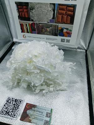 China Flame Retardant Recyclable Polyester Staple Fiber PSF Solid for Industrial and Construction Use for sale
