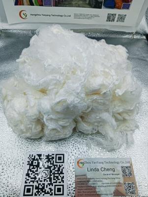 China Solid Polyester Staple Fiber 1.2D*38mm for Automotive Seating and Headliner Spinning & Filling Material for sale