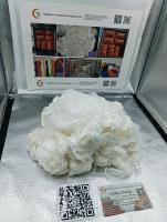 China Solid Polyester Staple Fiber 1.2D*38mm for Automotive Seating and Headliner Spinning & Filling Material for sale