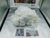 China Solid Polyester Staple Fiber 1.2D*38mm for Automotive Seating and Headliner Spinning & Filling Material for sale