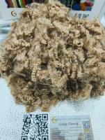 China Virgin 0.9D Feather Like Colored Polyester Staple Fiber for Filling for sale