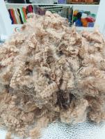 China Virgin 0.9D Feather Like Colored Polyester Staple Fiber for Filling for sale