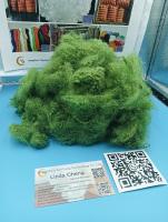 China 100% Recycled Green Siliconized Hollow Conjugated Polyester Staple Fiber Flame Retardant Filling Material for Pillow Sofa for sale