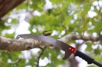 China Carbon Fiber Telescopic Harvest Pole 15m-21m with Pruning Saw for Coconut and Arecanut Harvesting for sale